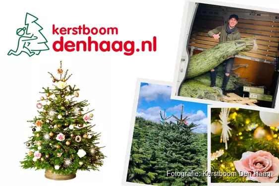 Een echte kerstboom kopen? Dat doe je bij Kerstboom Den Haag